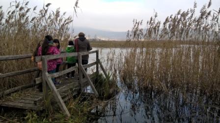 ΔΗΜΟΤΙΚΟ ΣΧΟΛΕΙΟ ΒΡΥΤΩΝ: ΕΠΙΣΚΕΨΗ ΣΤΟ ΥΓΡΟΤΟΠΟ ΑΓΡΑ-ΒΡΥΤΩΝ-ΝΗΣΙΟΥ