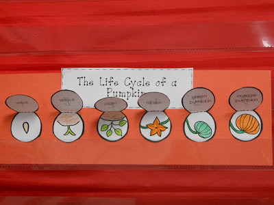 For the Love of First Grade: The Great Pumpkin Investigation