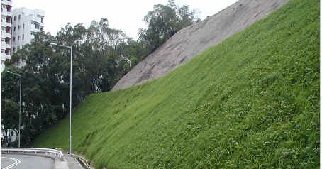 Dunia Teknik Sipil: Gebalan Rumput: Pengendali Erosi Sederhana