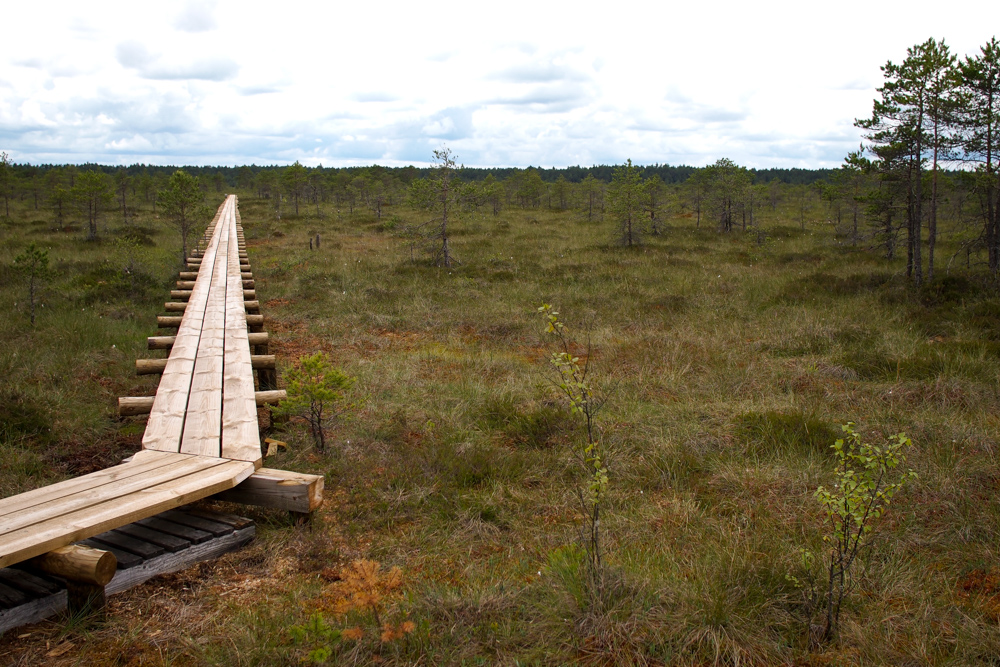 - Paranull -: Endla looduskaitseala.