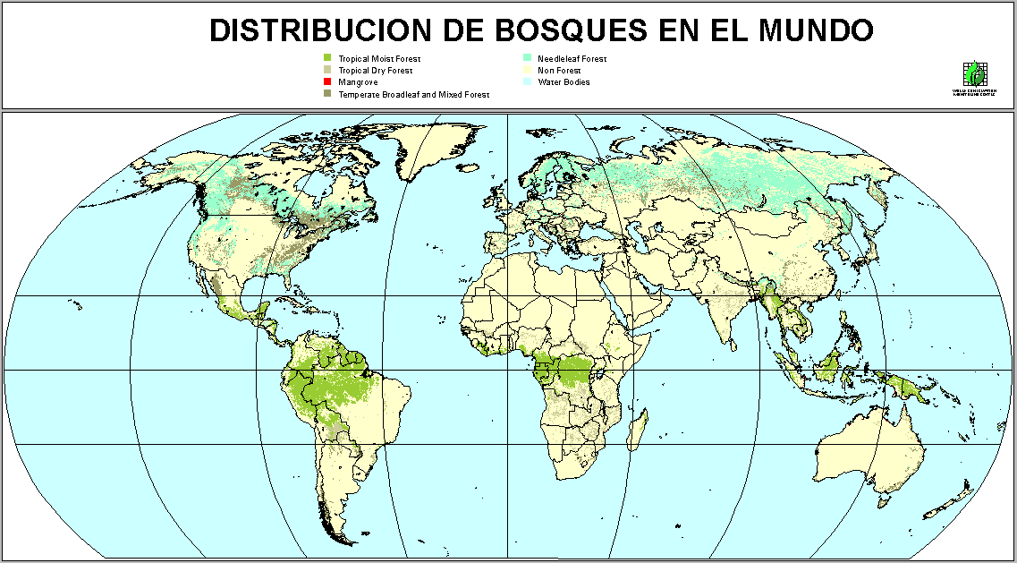 Alternativas para Cuidar el Medio Ambiente: LOS BOSQUES TROPICALES ...