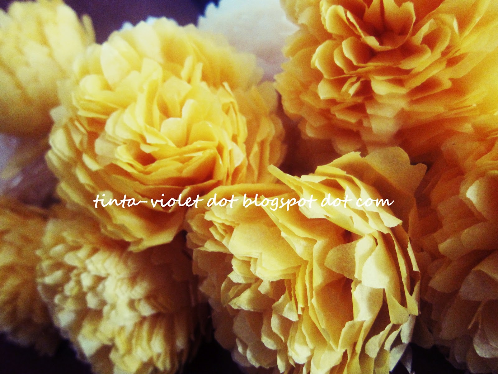 DiY bunga tissue | AsueIskandar