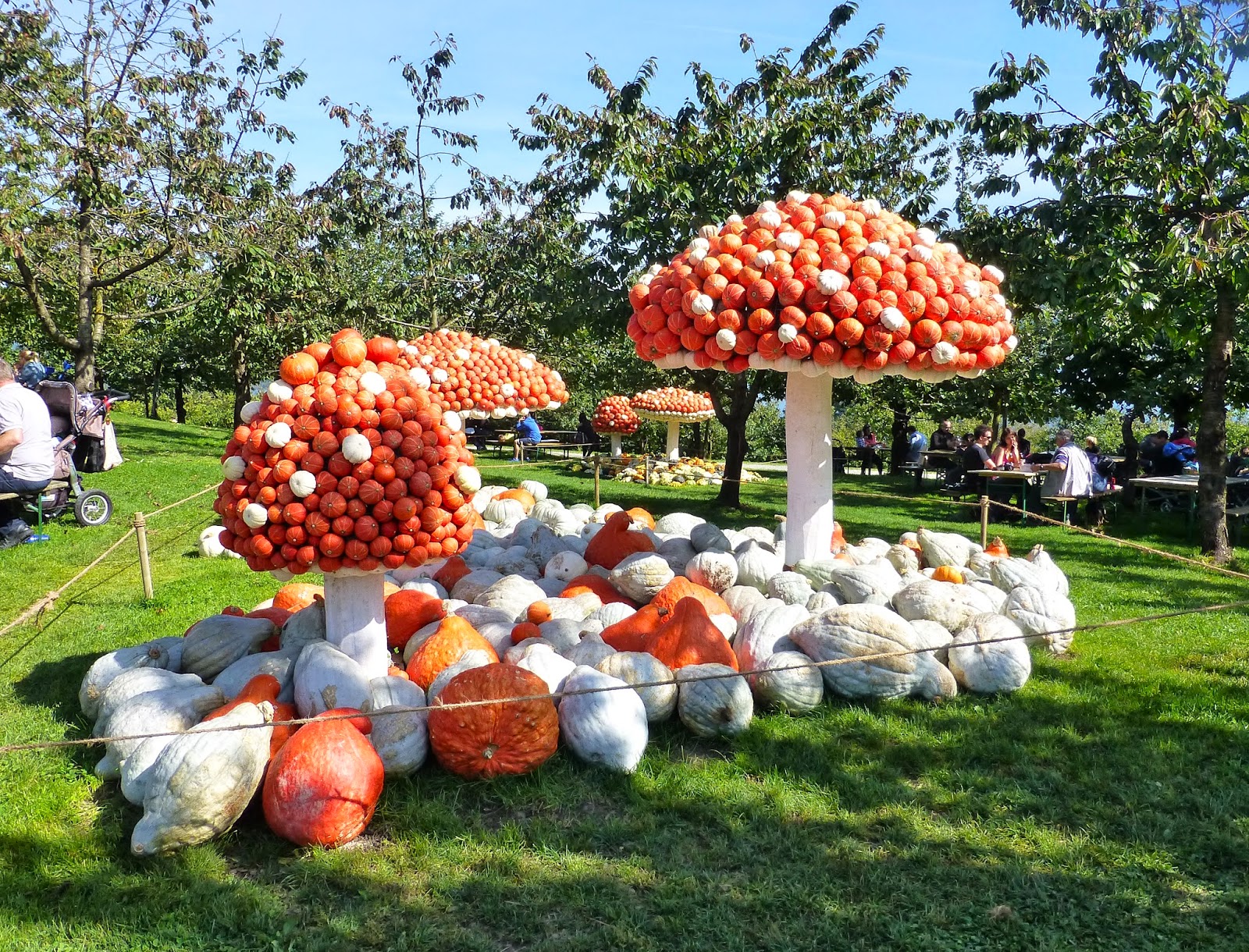 Scottish Girl in Zurich: Jucker Farm Visit