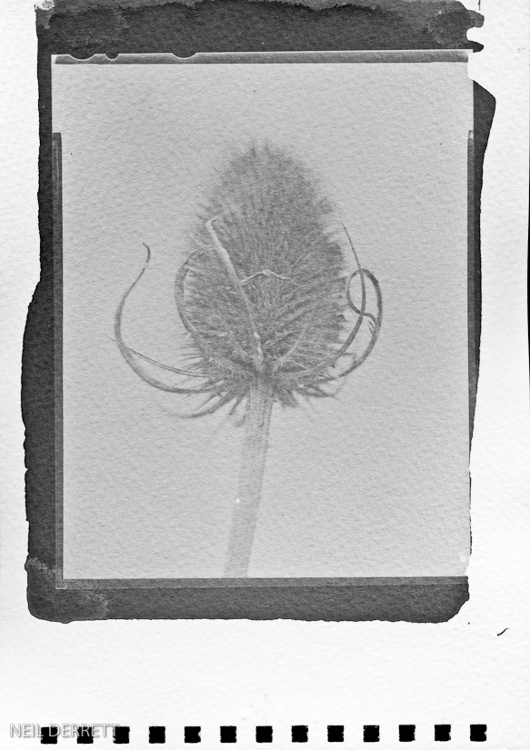 Neil Derrett Photography: Salt Printing Experiment - The Final Image