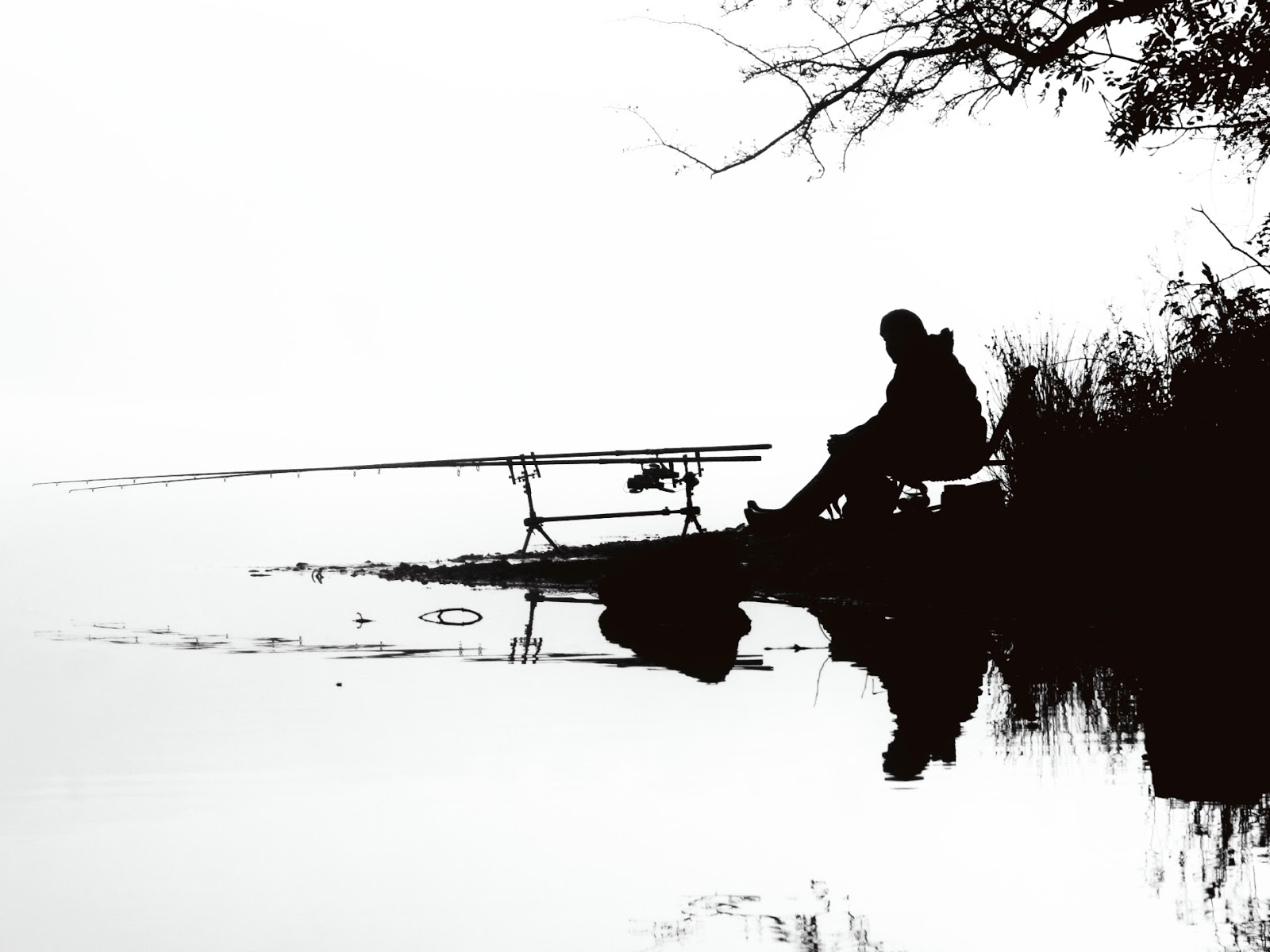 Bizonderimage: Life, Death, and photography