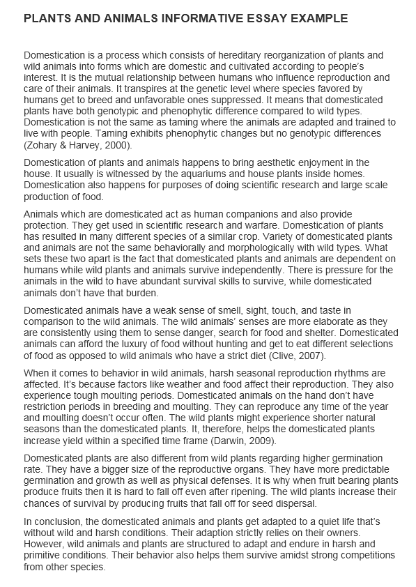 Examples Of An Informative Essay ~ Resume Letter