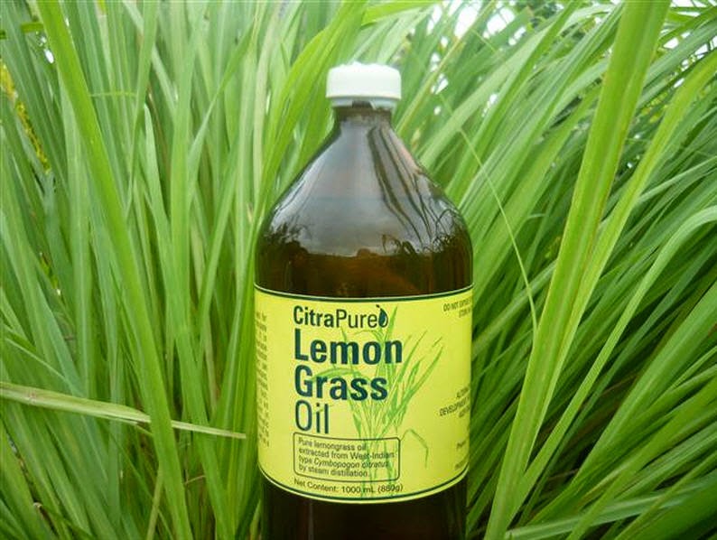 Laura Pettie: UREMBO NA LAURA:....MAFUTA YA MCHAICHAI (LEMONGRASS OIL)