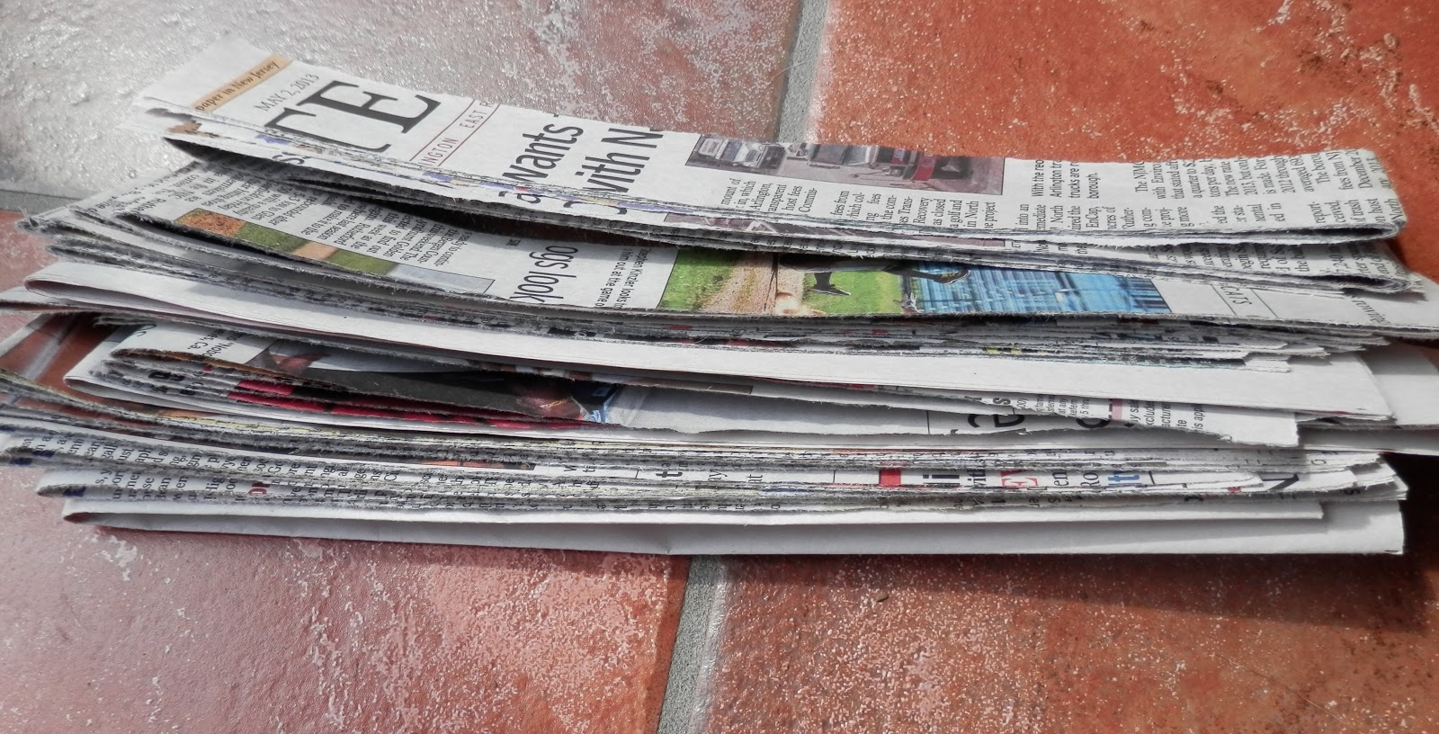 The Bare Mother Earth: DIY Cat Litter