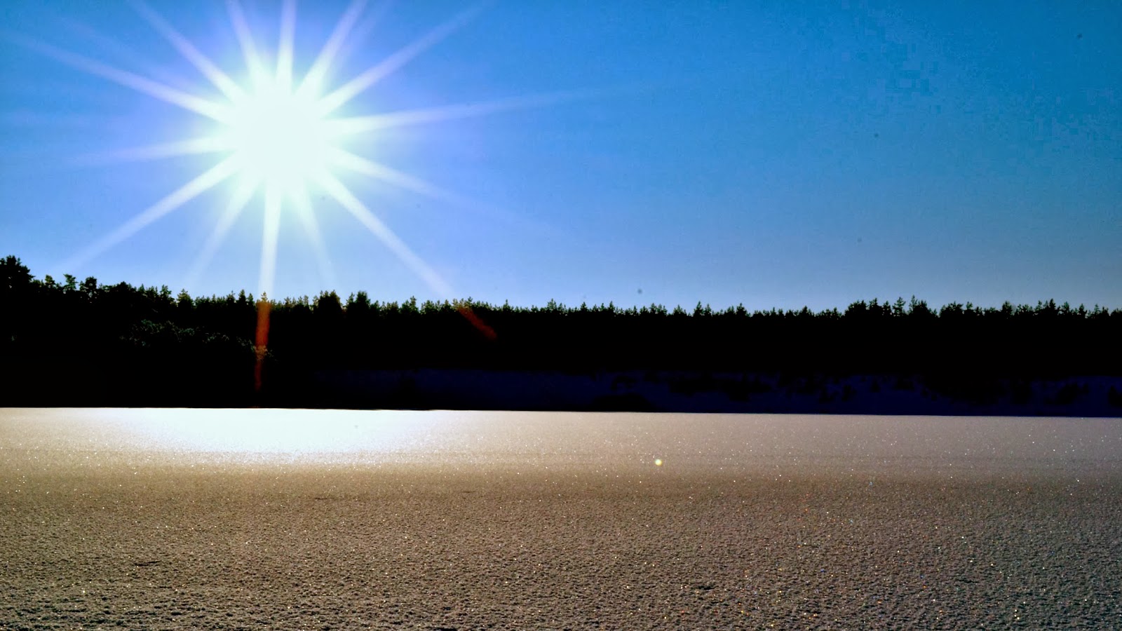 "Karuta Karula": "Sini-must-valge"