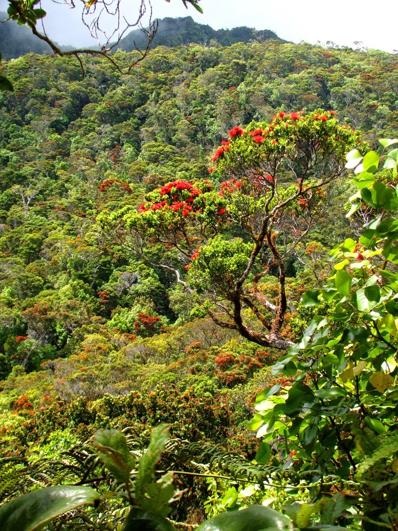 Geotripper: Where are the Ten Most Incredible Places You've Ever Stood ...