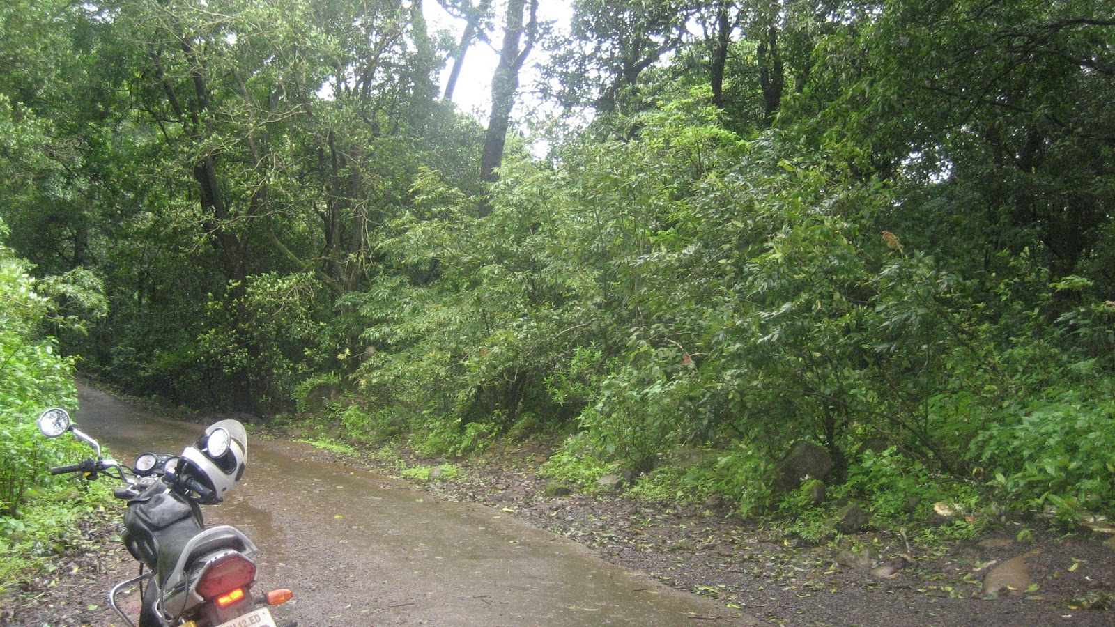 On the Edge of Sahyadris: Ahupe Ghat: A memorable walk through heaven