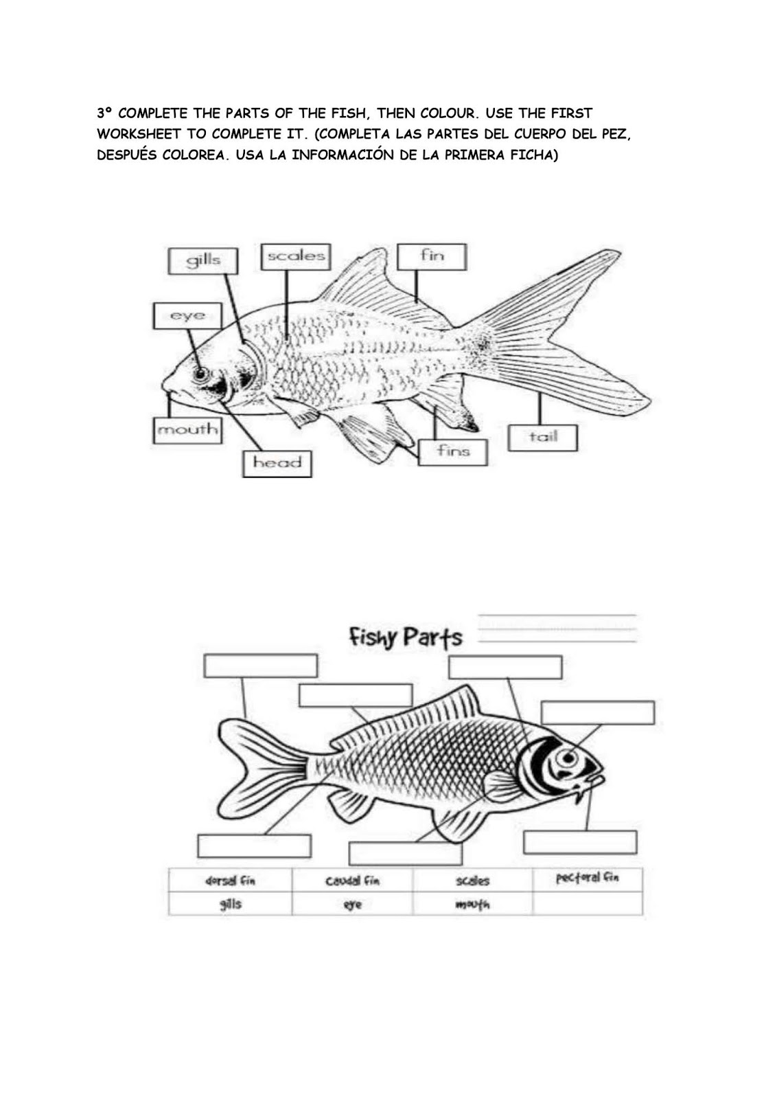 Teacher Mary Poppins : NATURAL SCIENCE YEAR 4 ( DEL 20 AL 27 DE ABRIL)