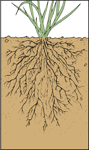 Reliability4Life: Root Cause Analysis