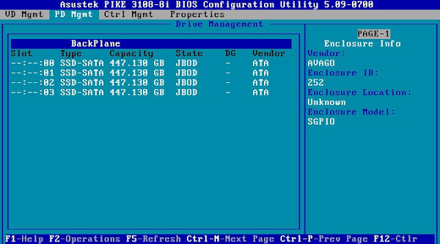 Konfigurasi JBOD Hardware RAID Controller
