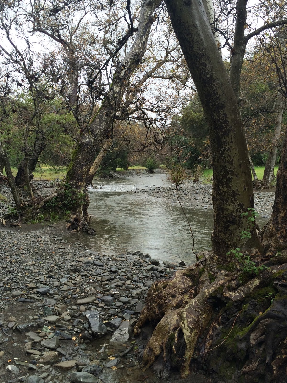 JTFineArtsBlog: Sunol Regional Wilderness Waterfalls