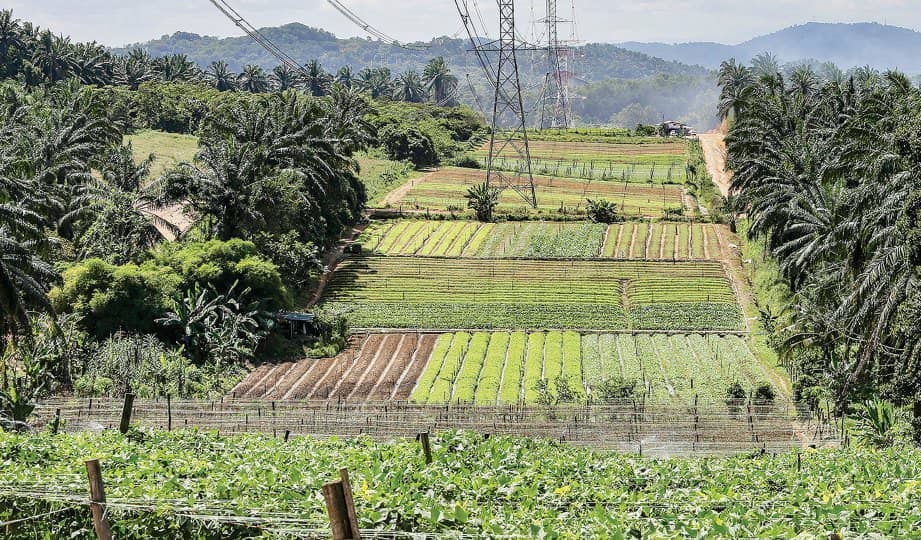 Lee Kee Hiong for a better Kuala Kubu Bharu & Malaysia: Kawasan rentis ...