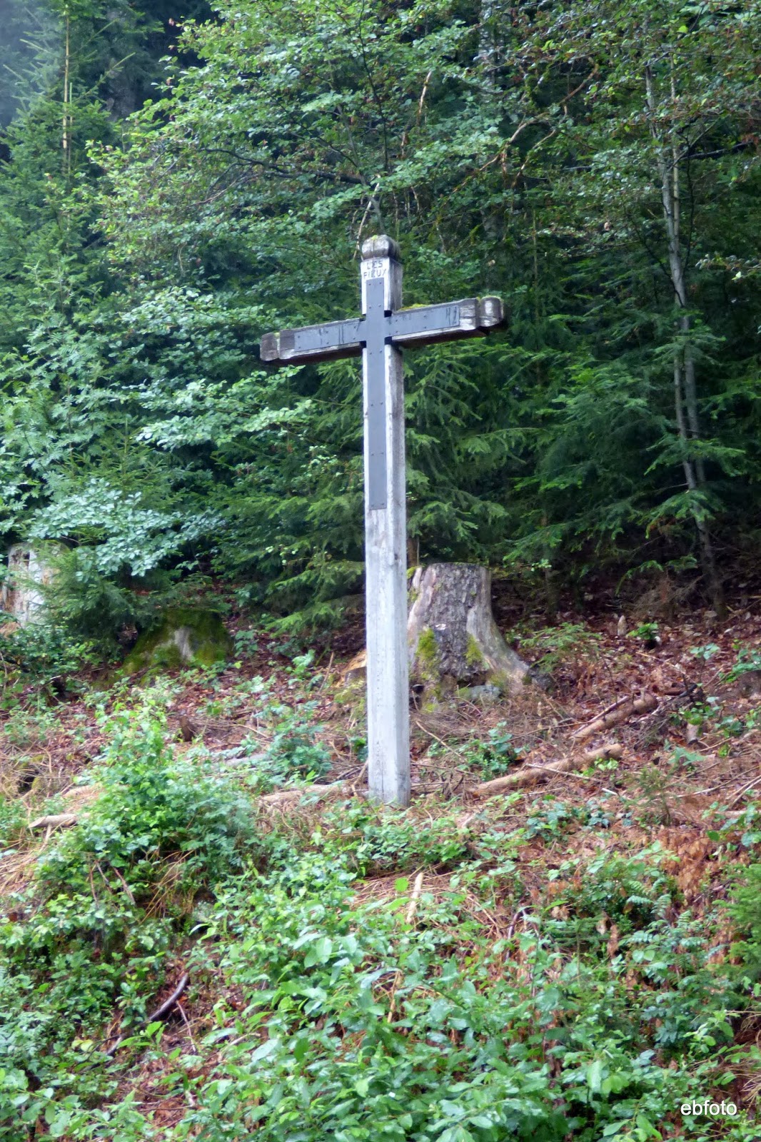.: Croix en Savoie.
