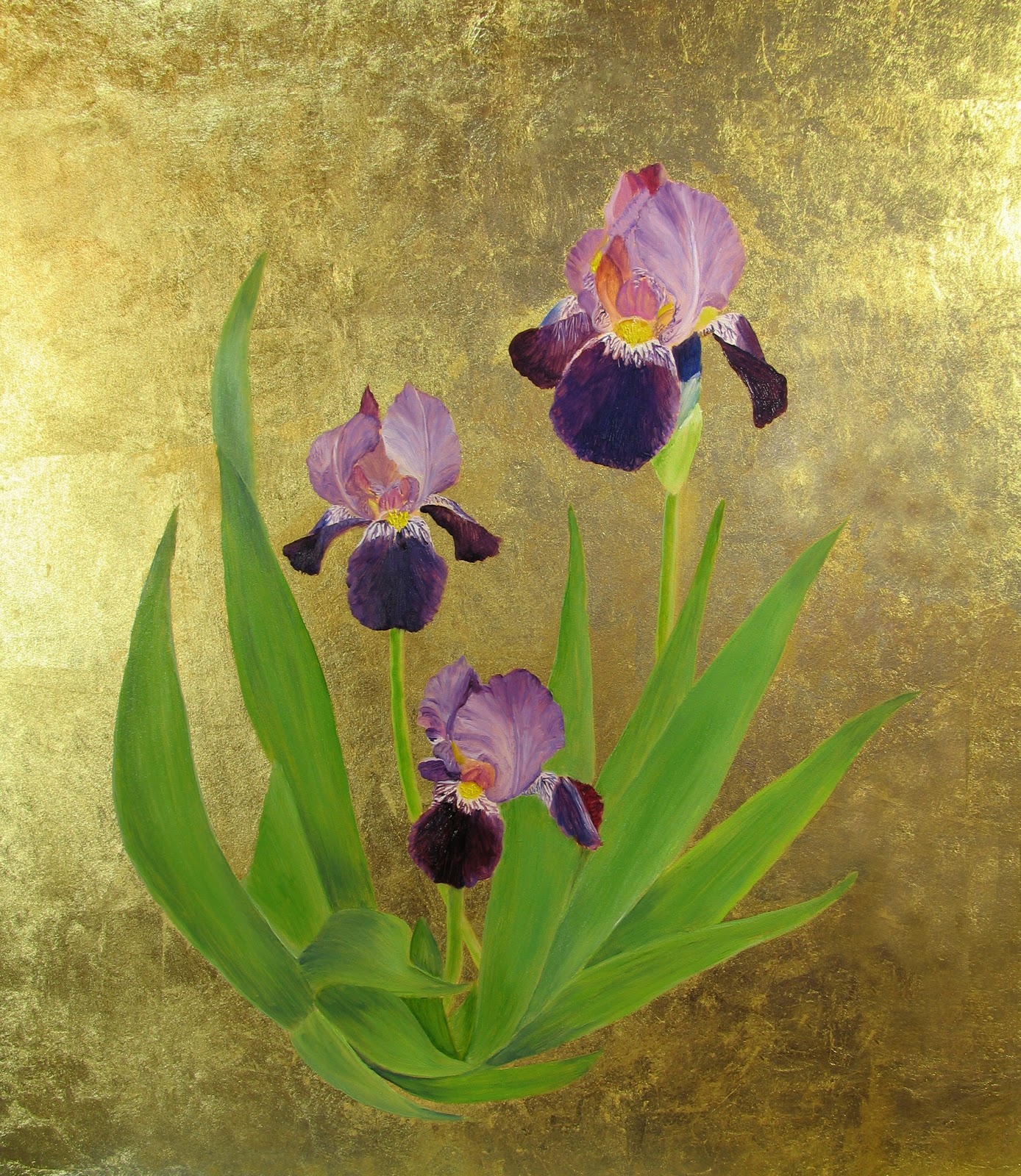 Beyond Words: the Symbolic Language of Plants: S. M. Wilson