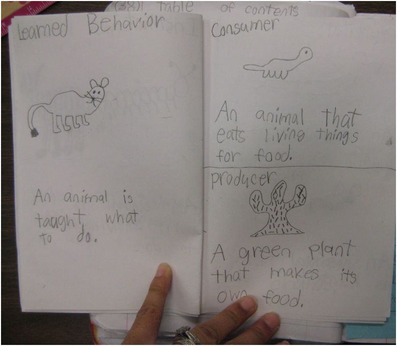 Sweet Teach: Science Notebooking: Animal Adaptations