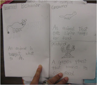 Sweet Teach: Science Notebooking: Animal Adaptations