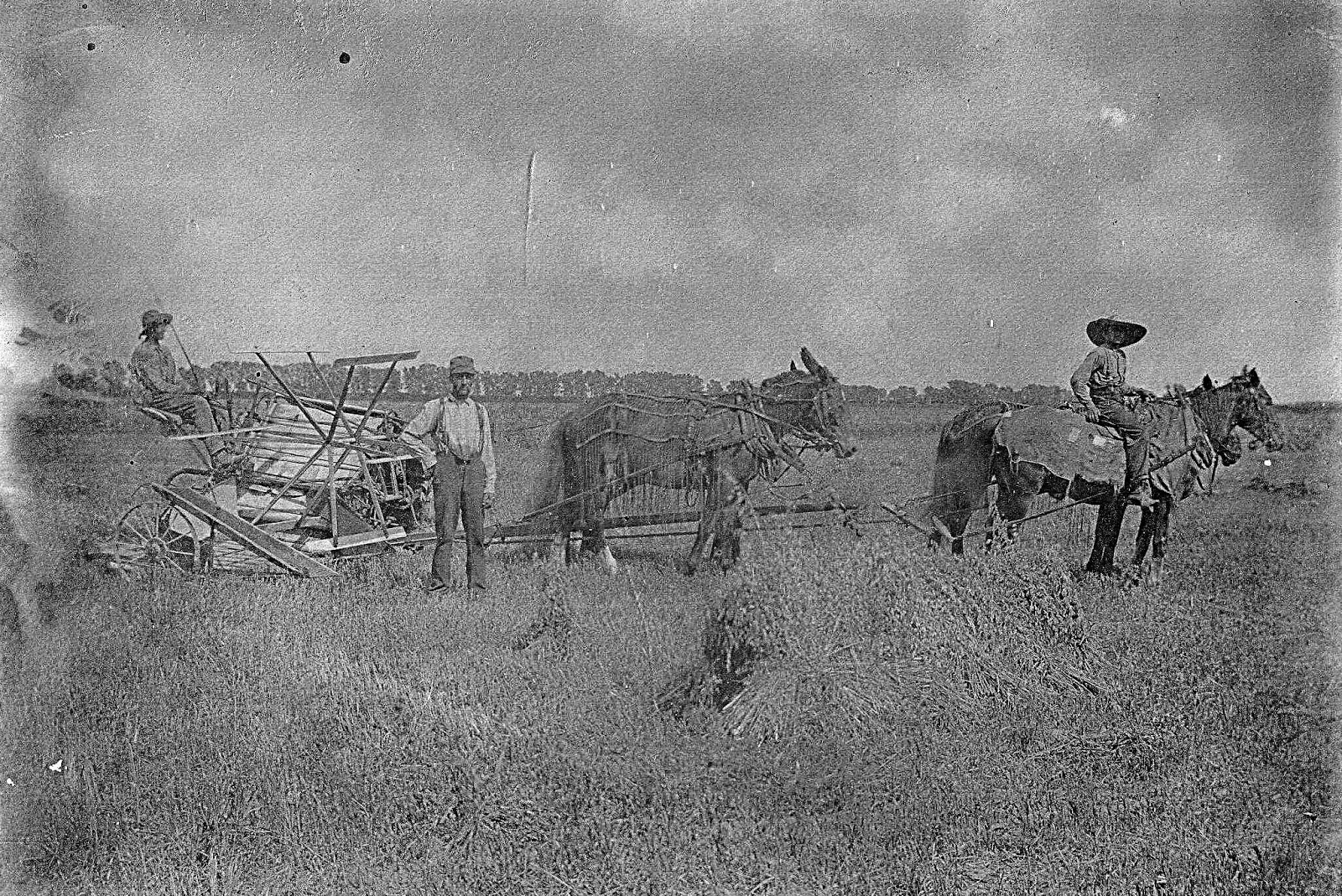 Voices of Harvey County: A Useful, Busy Life: Miss Challender