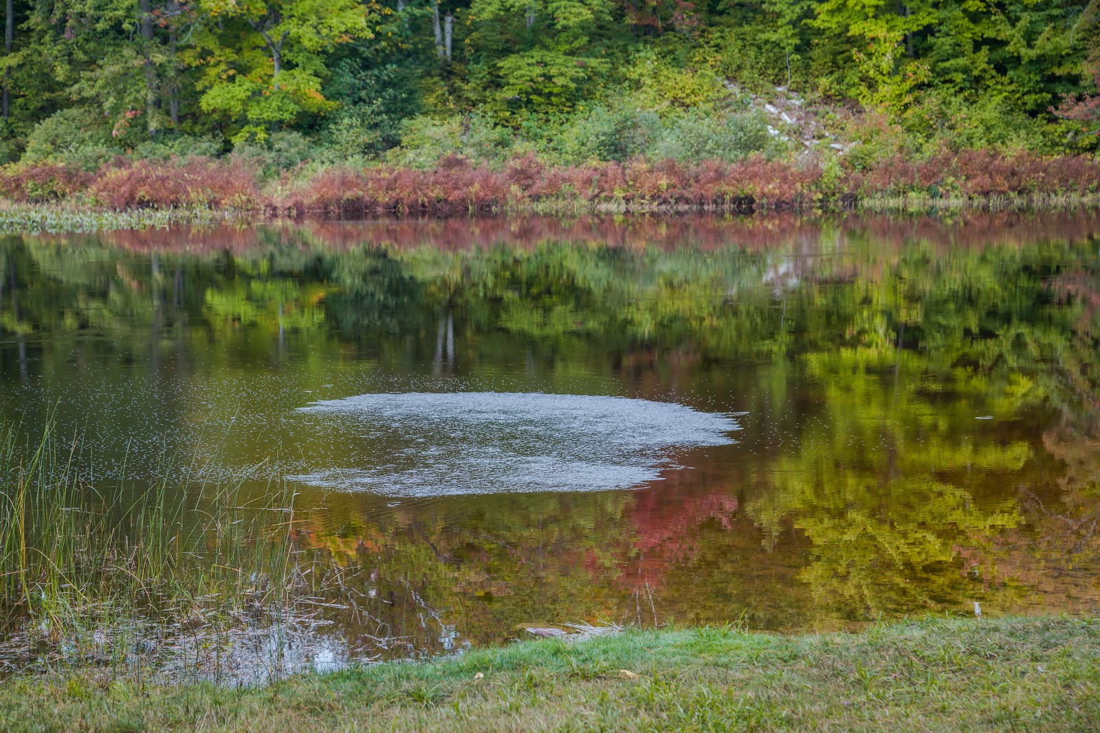 Take a Rest at Restoule Provincial Park - Explore the World with Simon ...