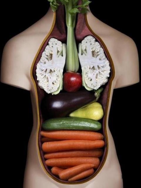 Deyutza's Blog: Asemanari intre fructe si parti ale corpului