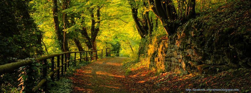 Nature Photos: Photo De Profil Nature