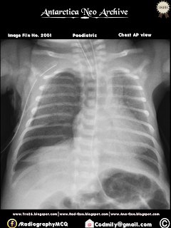 The Radiological Educational Network 26: Paediatric Radiography