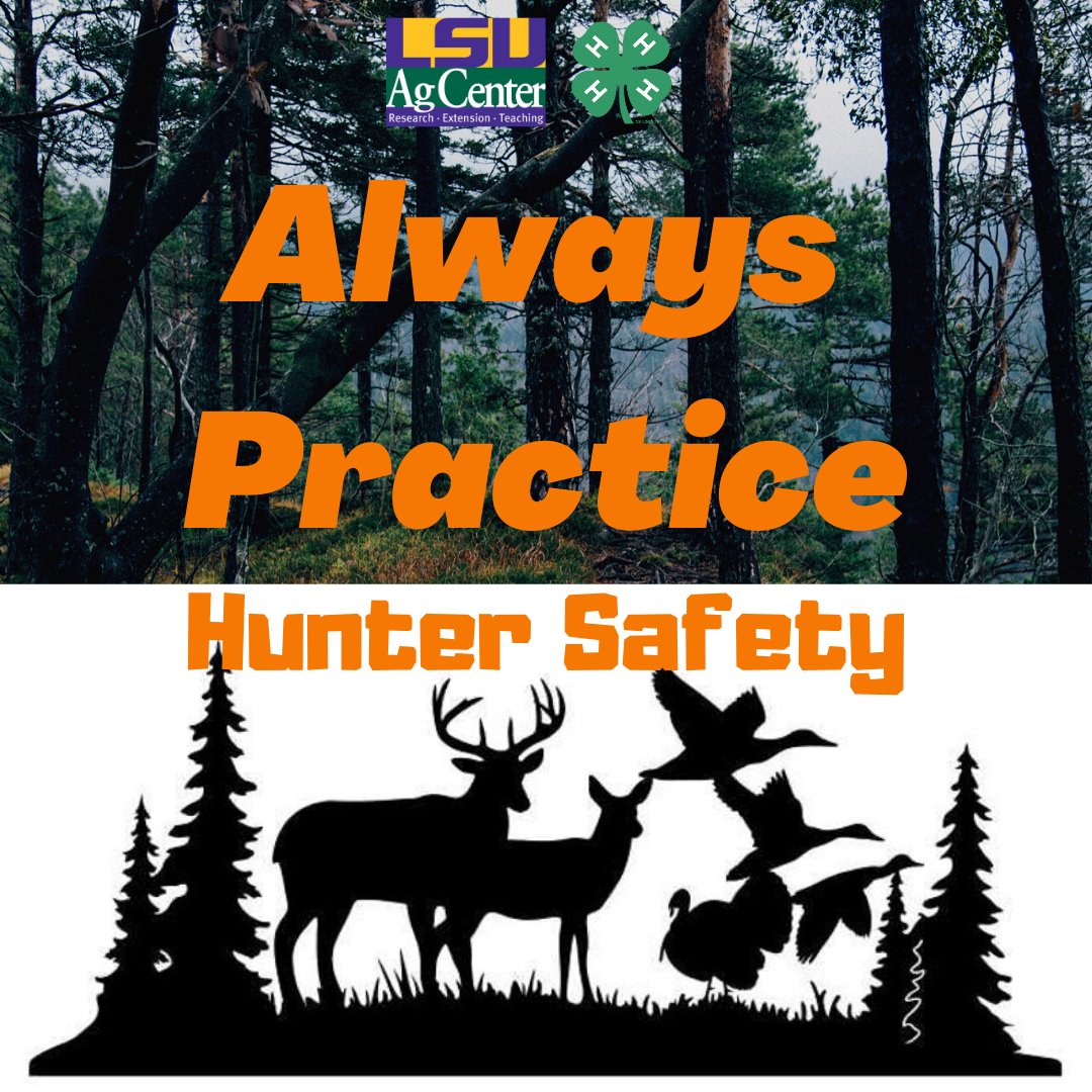 Mt. Hermon Web TV: Have a Safe Hunting Season!