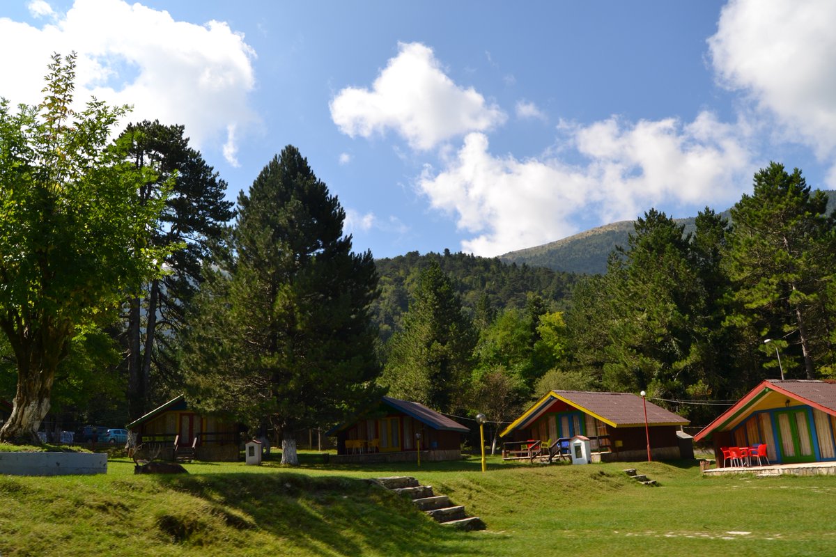 Parco Nazionale Llogora (Albania) - Un'oasi di pace e tranquillità ...