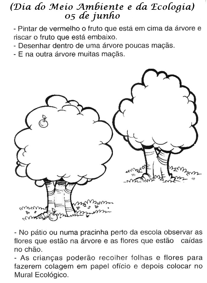 JARDIM COLORIDO DA TIA SUH: 40 Atividades Meio Ambiente