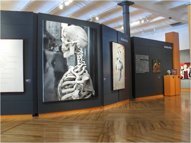 Las exposiciones temporales en el Museo Arocena