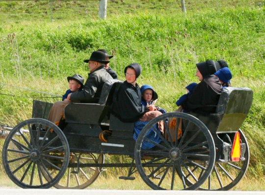 The Ossington Kitchen: Cue the Mennonites