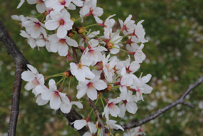 High Heels & Flip-Flops: March 2012