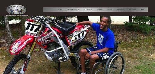 TO ASSIST PEOPLE WITH PHYSICAL OR INTELLECTUAL LIMITATION ACHIVE THE ...