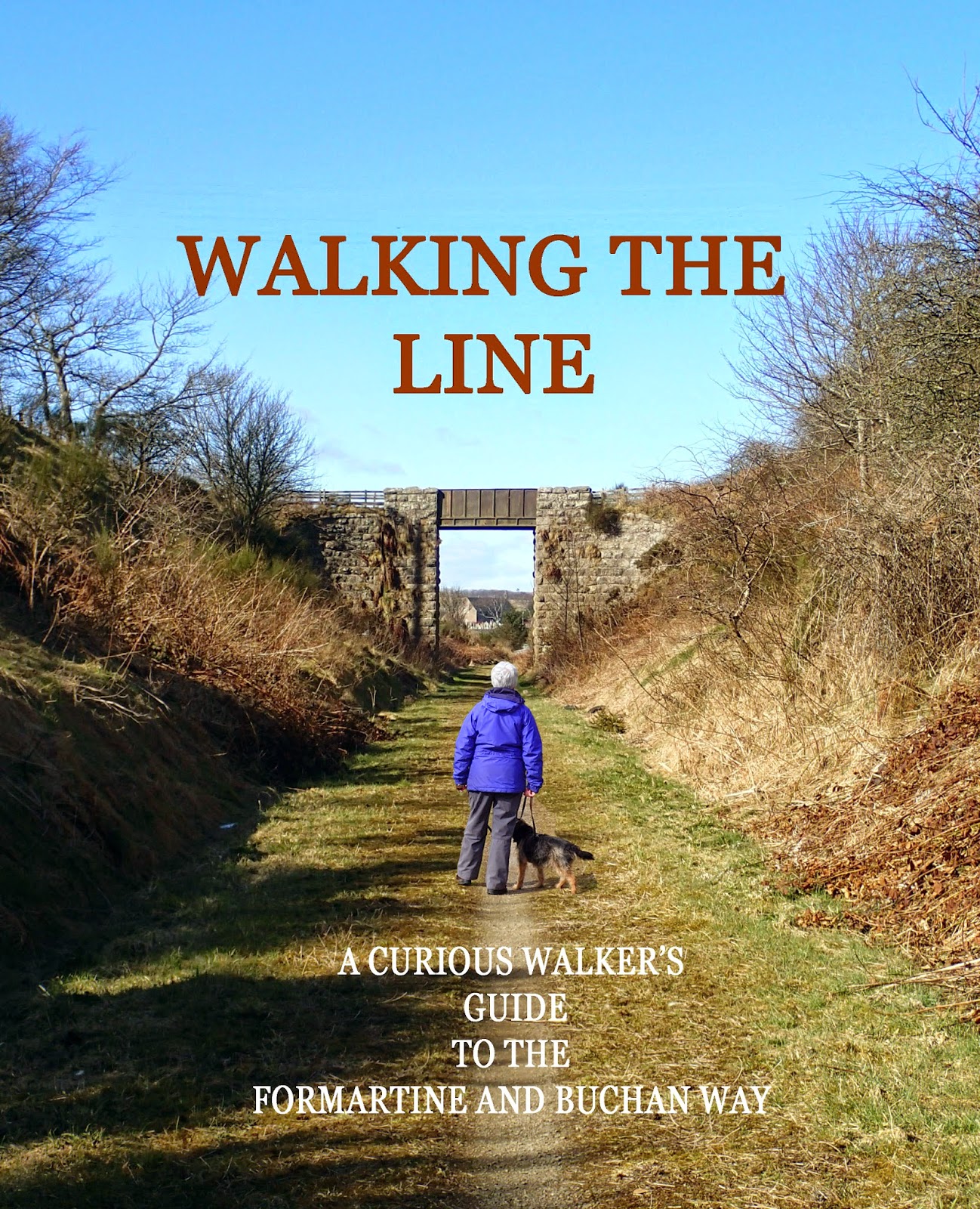 Walking The Line: Walking The Line - The book