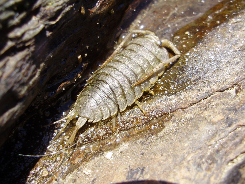 Moonlight and Hares: May 2012