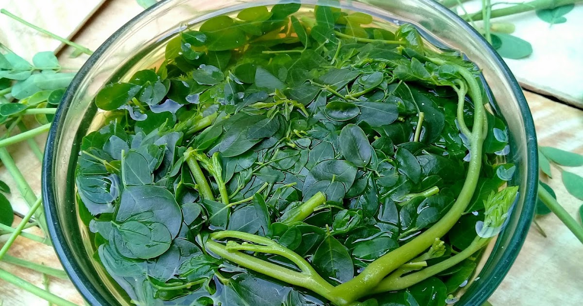 Resep sayur daun kelor yang super sehat - Yeni helda.com