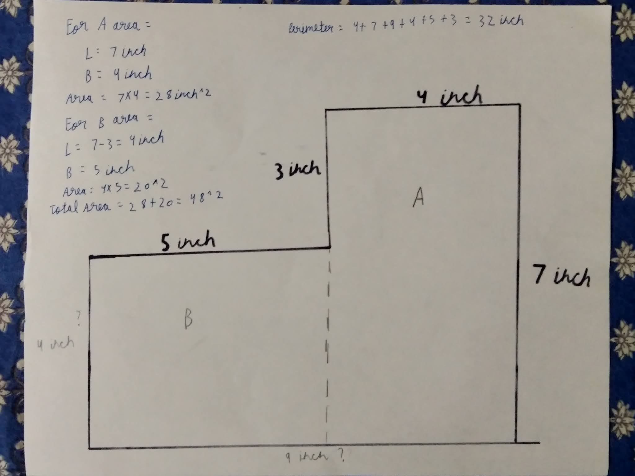 class 6 Area and perimeter activity