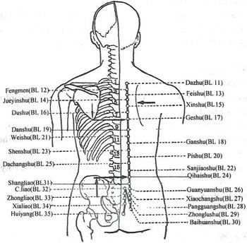 Definisi Titik Akupunktur Shu Belakang - Terapi Jarum