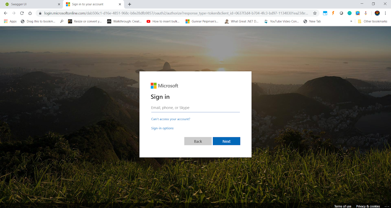 Swagger Ui And Authentication In Asp Net Core 2 2 Arve S Code Cave