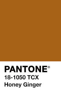 Old city, fresh eyes