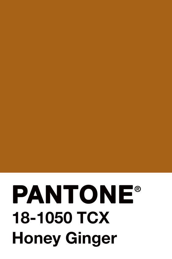 Old city, fresh eyes