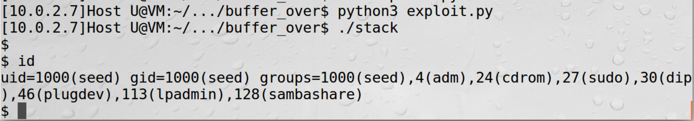 Buffer Overflow exploit