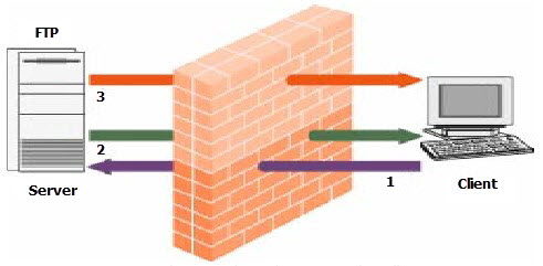 Materi Firewall: Fungsi, Jenis, dan Cara Kerja Firewall