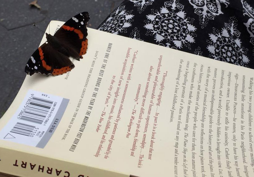 Wyzard Ways: The Girl, The Book, and the Butterfly