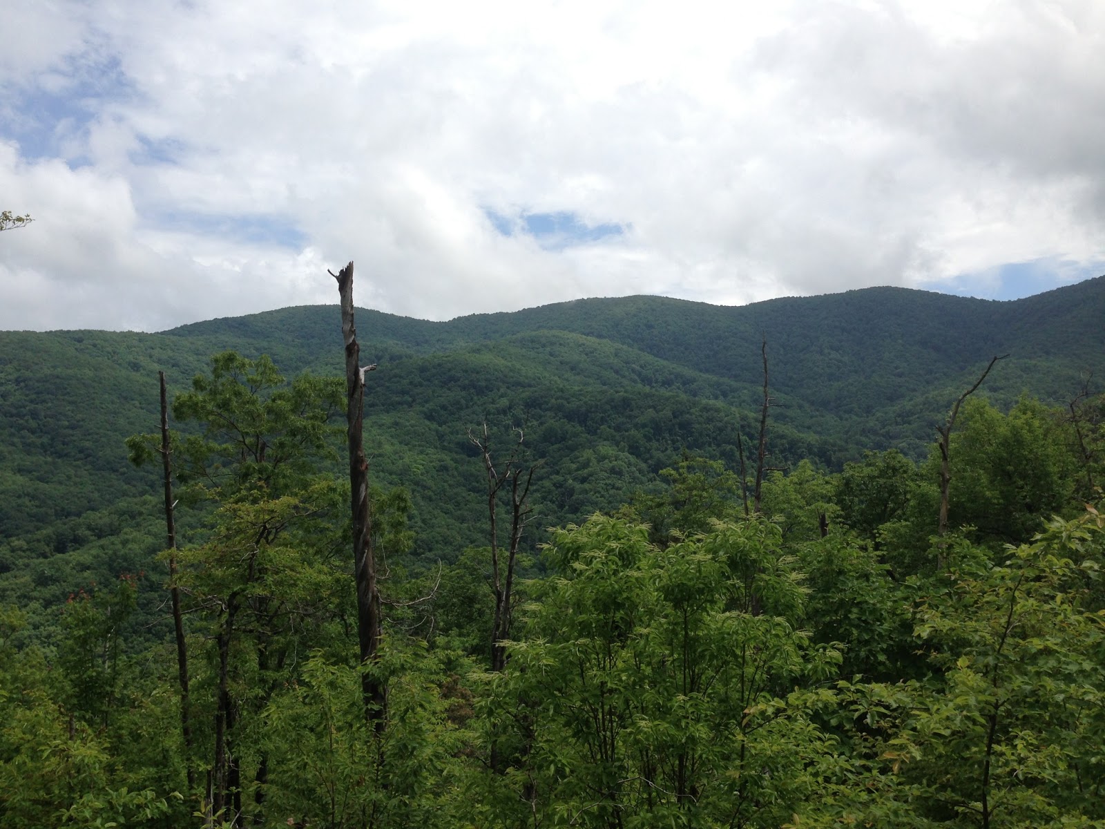 Hiking the Appalachian Balds: Gregory Bald