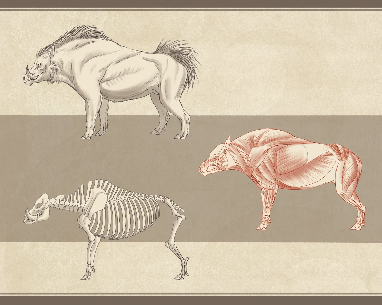 Clare's Final Major Project