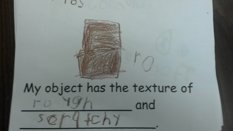 Mrs. Wood's Kindergarten Class: Touch/Texture